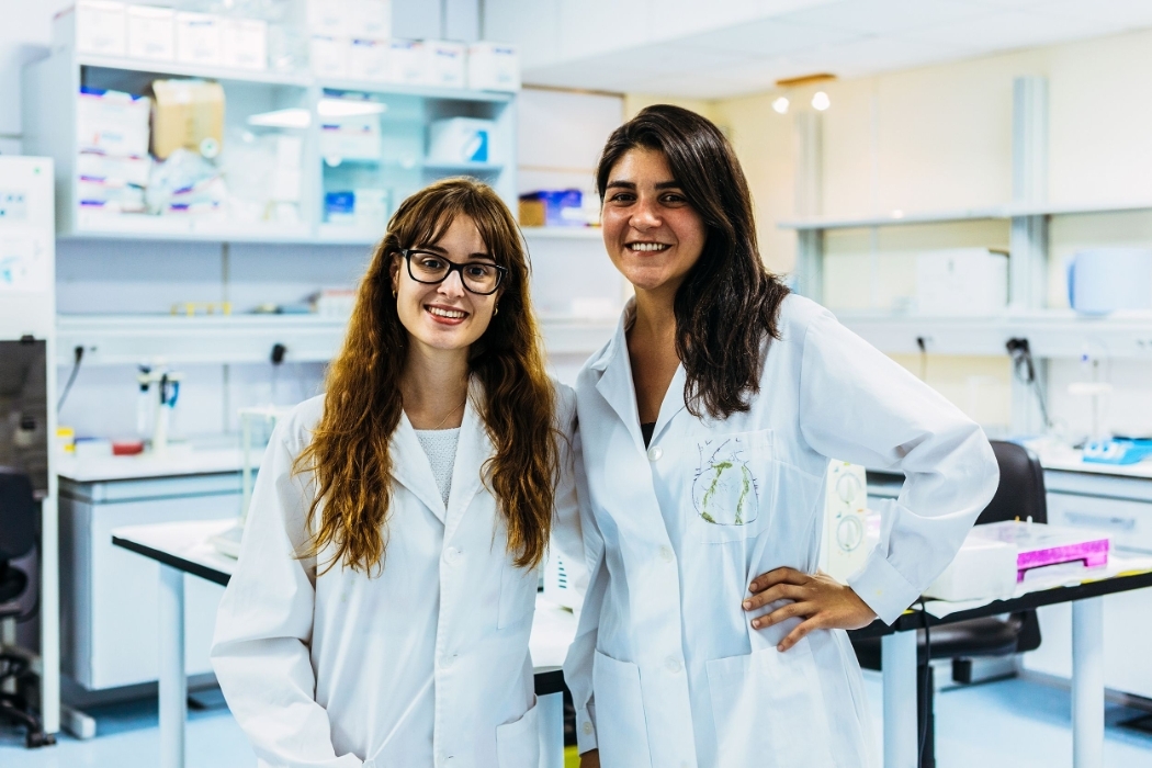 Antech Diagnostics Mission, Benefits, and Work Culture | Indeed.com