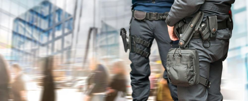 VP Protection Mission, Benefits, and Work Culture | Indeed.com