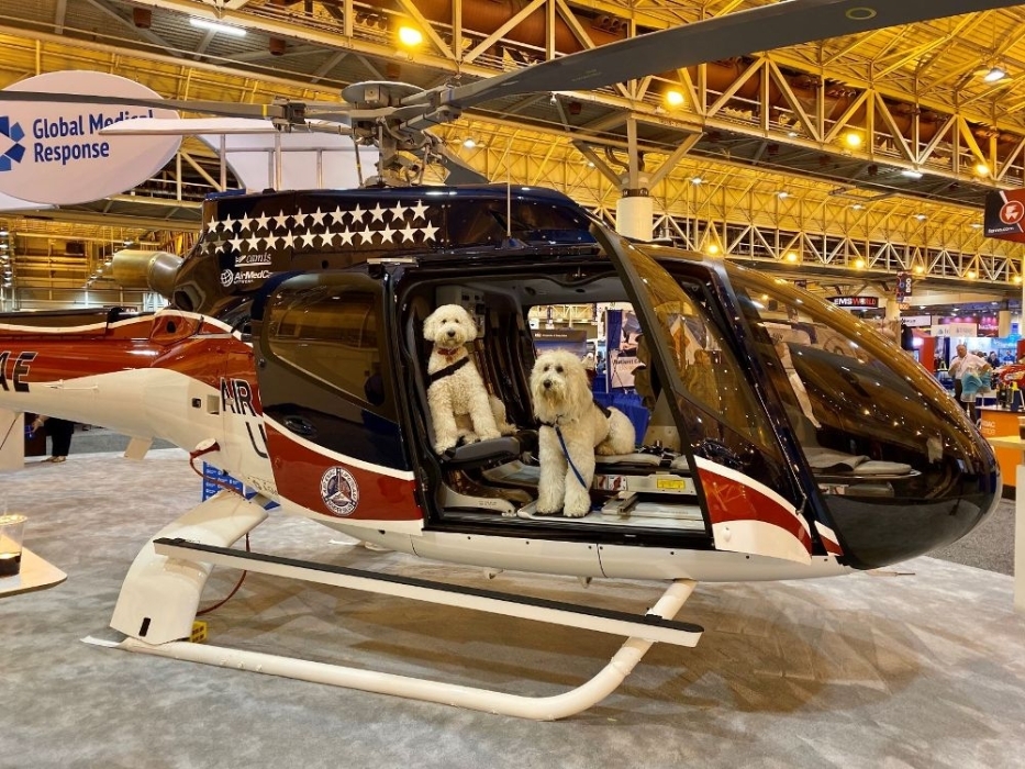 Global Medical Response Mission, Benefits, and Work Culture | Indeed.com