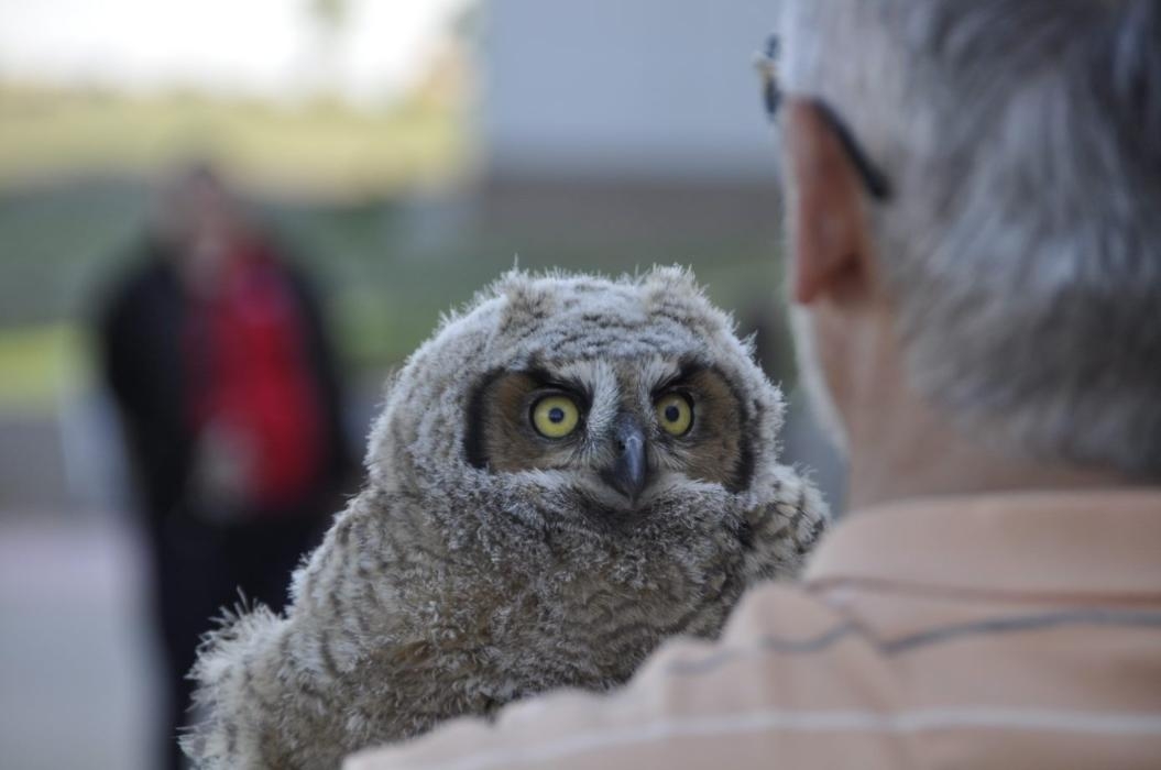 MCSG Technologies Mission, Benefits, and Work Culture | Indeed.com