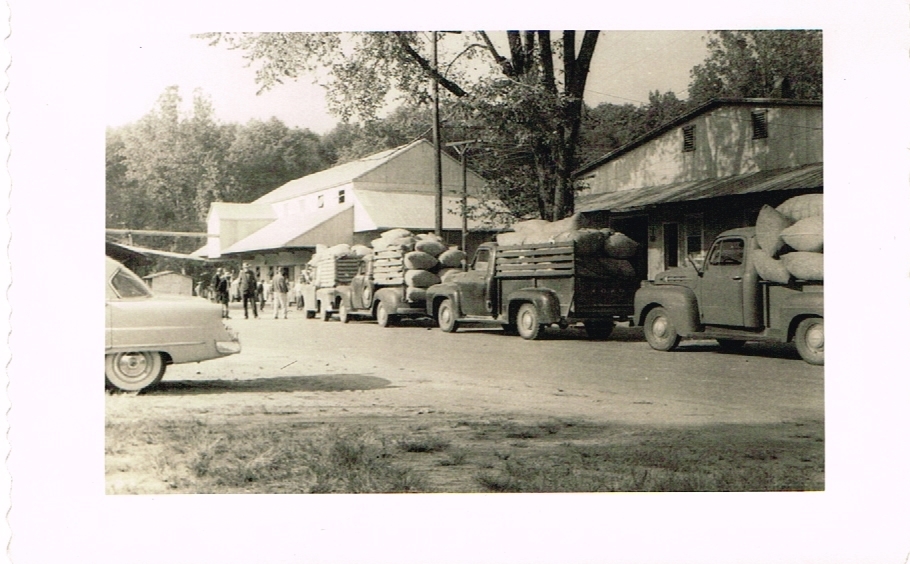 Meherrin Agricultural and Chemical Mission, Benefits, and Work Culture ...