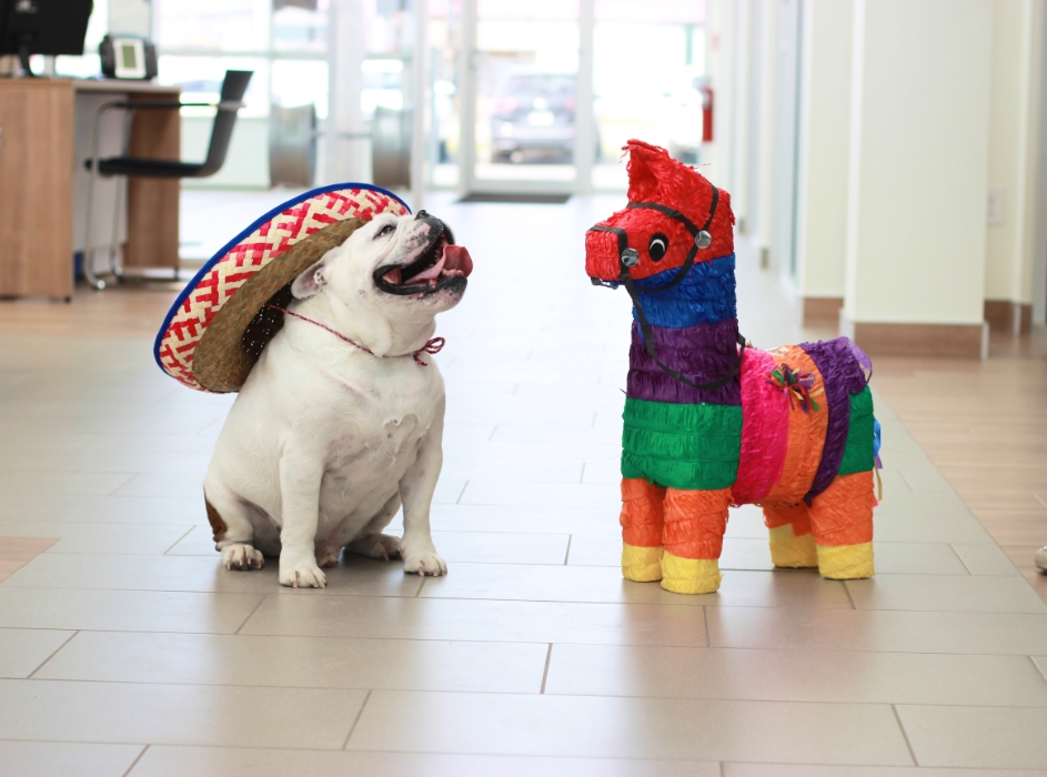 FFUN Group Mission, Benefits, and Work Culture | Indeed.com