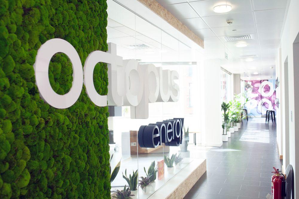 Octopus Energy Mission, Benefits, and Work Culture | Indeed.com
