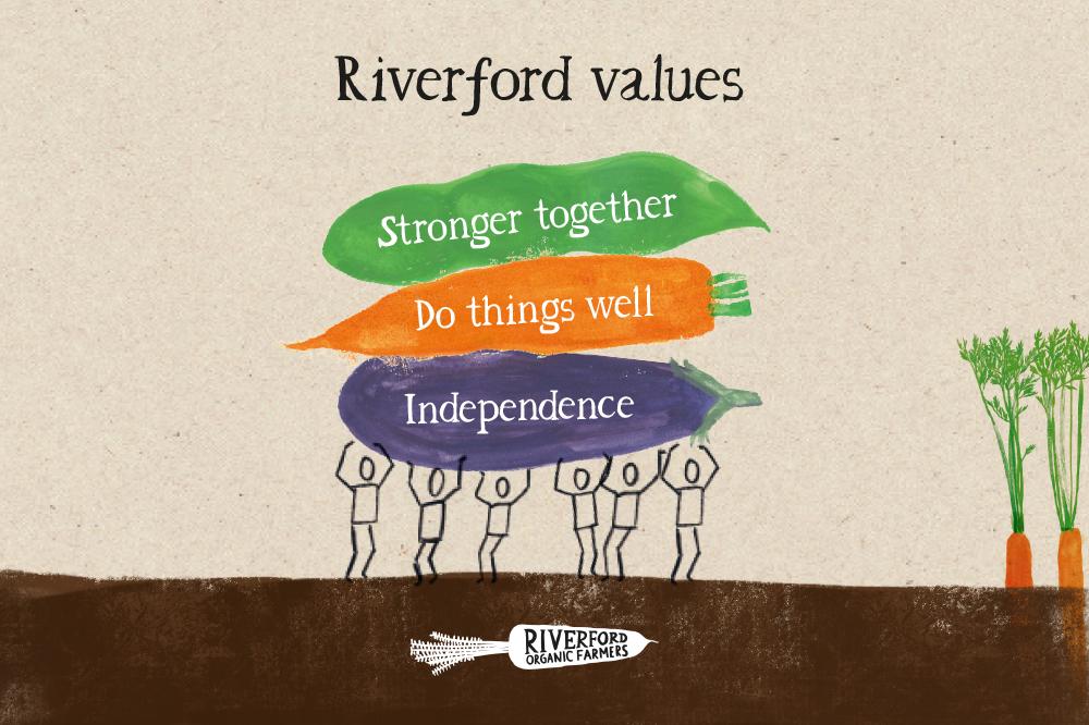 Riverford Organic Farmers Mission, Benefits, and Work Culture | Indeed.com