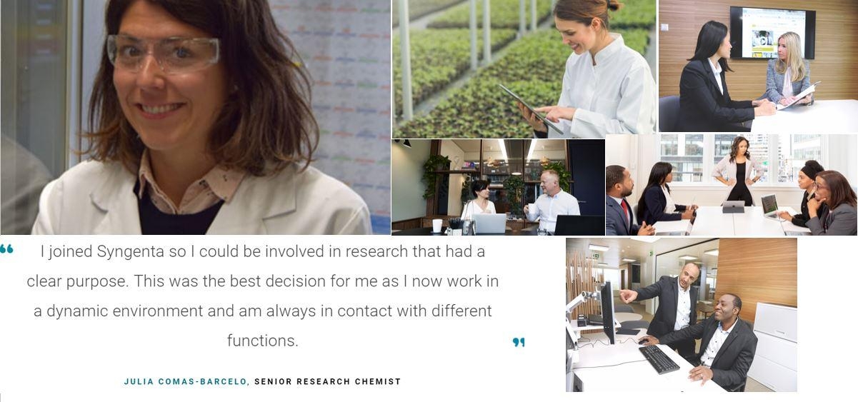 Syngenta Mission, Benefits, and Work Culture | Indeed.com