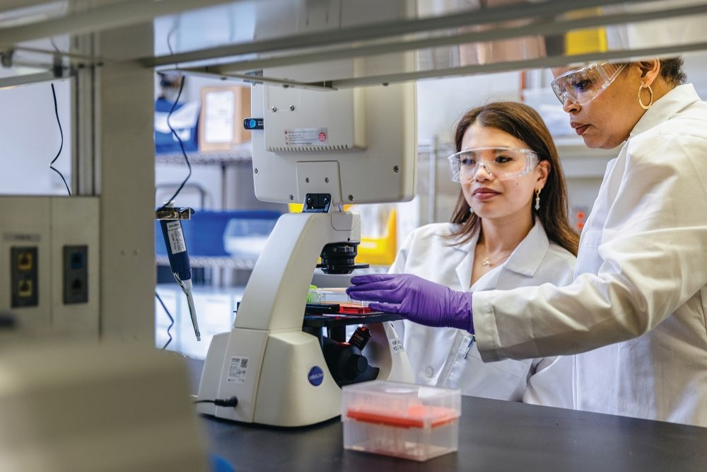 Novartis Mission, Benefits, and Work Culture | Indeed.com