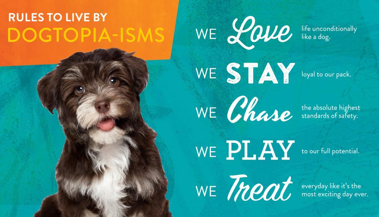 Dogtopia Mission, Benefits, and Work Culture | Indeed.com