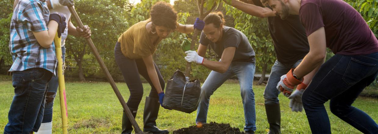 Ingeus Mission, Benefits, and Work Culture | Indeed.com