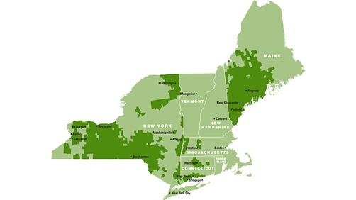 Avangrid Mission, Benefits, and Work Culture | Indeed.com