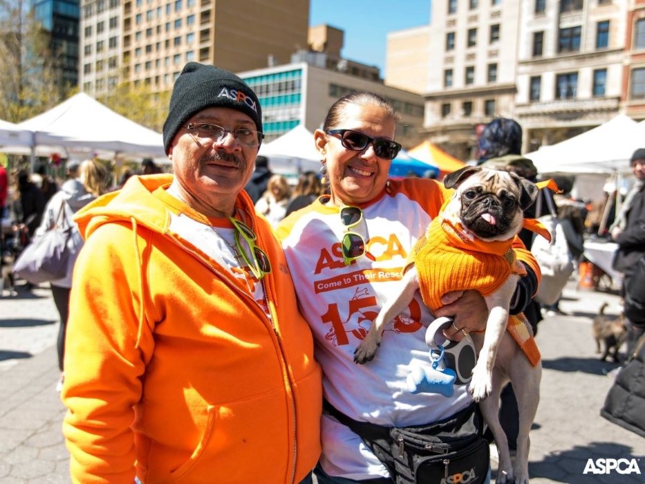 ASPCA Mission, Benefits, and Work Culture | Indeed.com