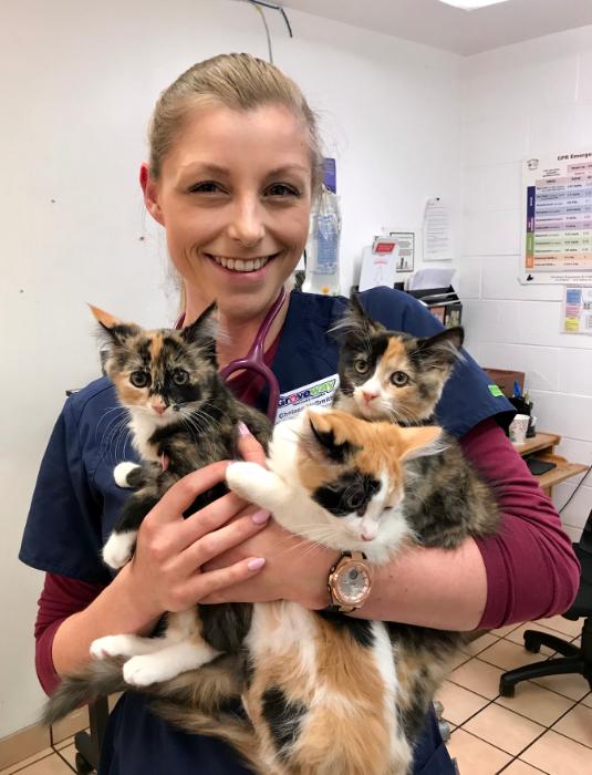 Vetncare Mission, Benefits, and Work Culture | Indeed.com