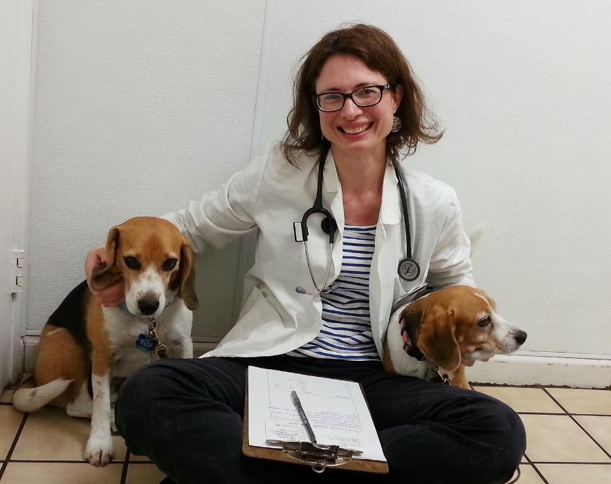 Vetncare Mission, Benefits, and Work Culture | Indeed.com