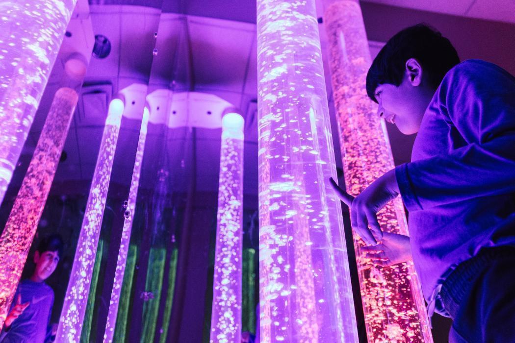 The Hope Learning Center Mission, Benefits, and Work Culture | Indeed.com