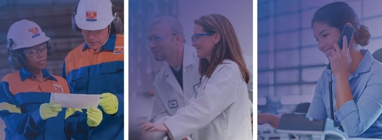 Novelis Mission, Benefits, and Work Culture | Indeed.com