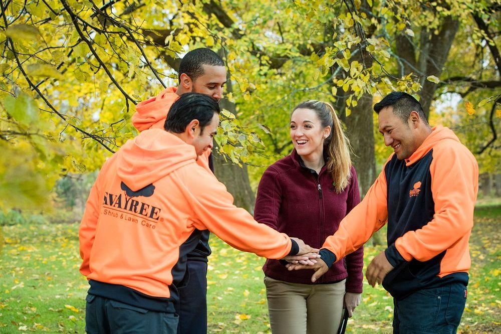 SavATree Mission, Benefits, and Work Culture | Indeed.com