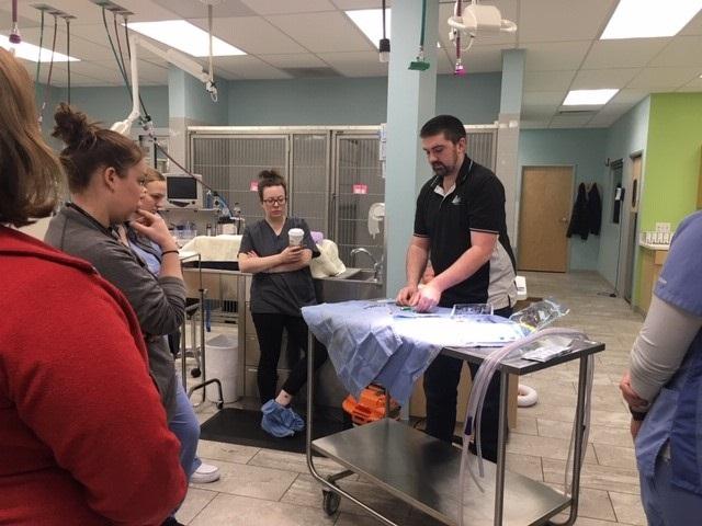 Noah's Animal Hospital Mission, Benefits, and Work Culture | Indeed.com