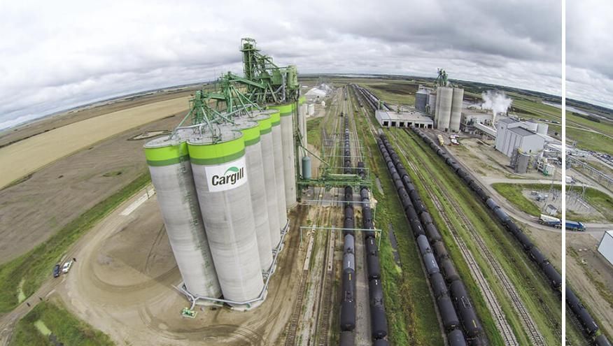 Cargill Mission, Benefits, and Work Culture | Indeed.com