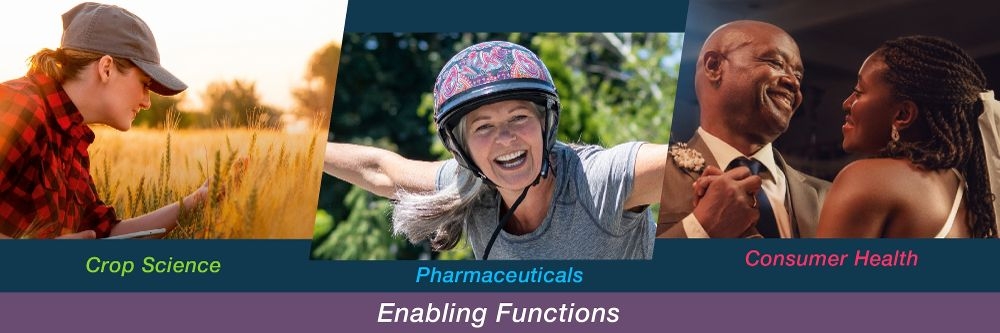 Bayer Mission, Benefits, and Work Culture | Indeed.com