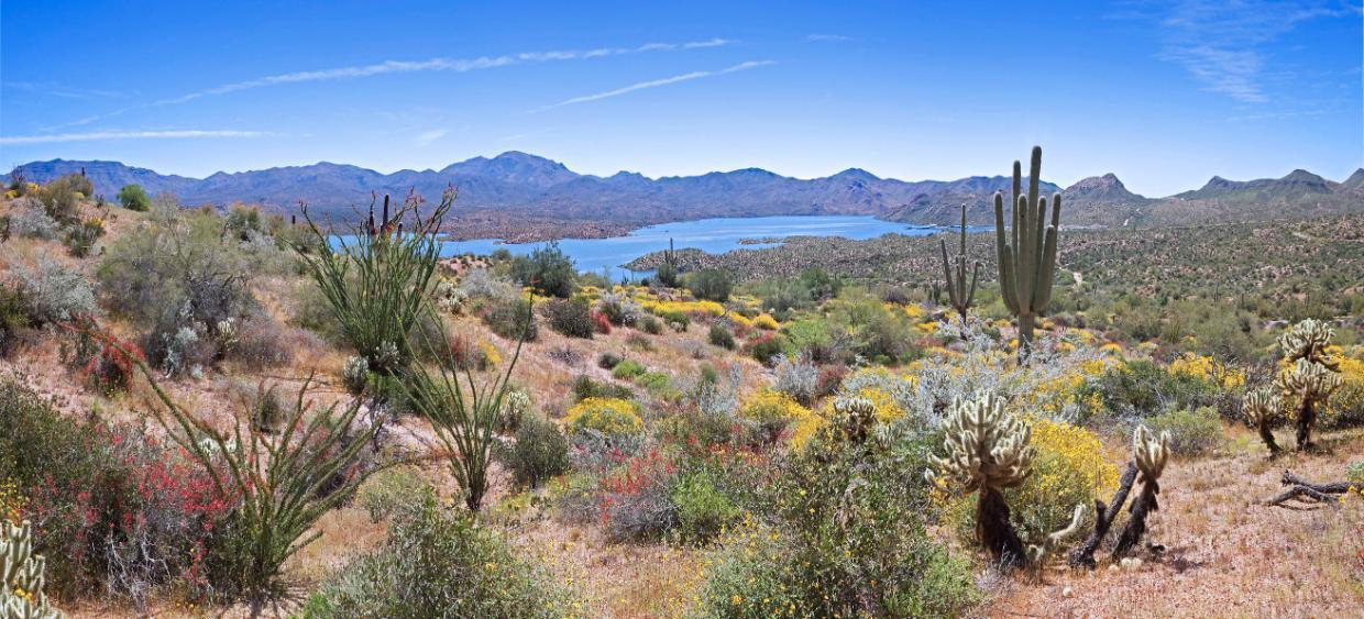 Meadows Behavioral Healthcare Mission, Benefits, and Work Culture ...