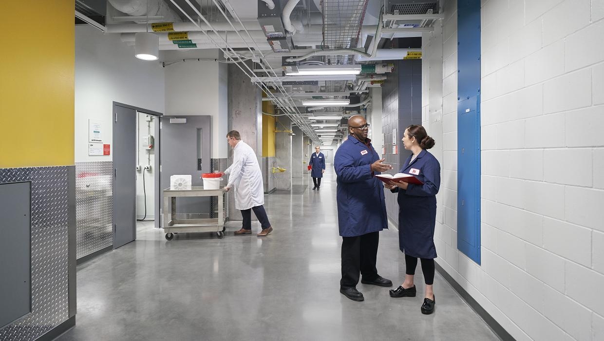 3M Mission, Benefits, and Work Culture | Indeed.com