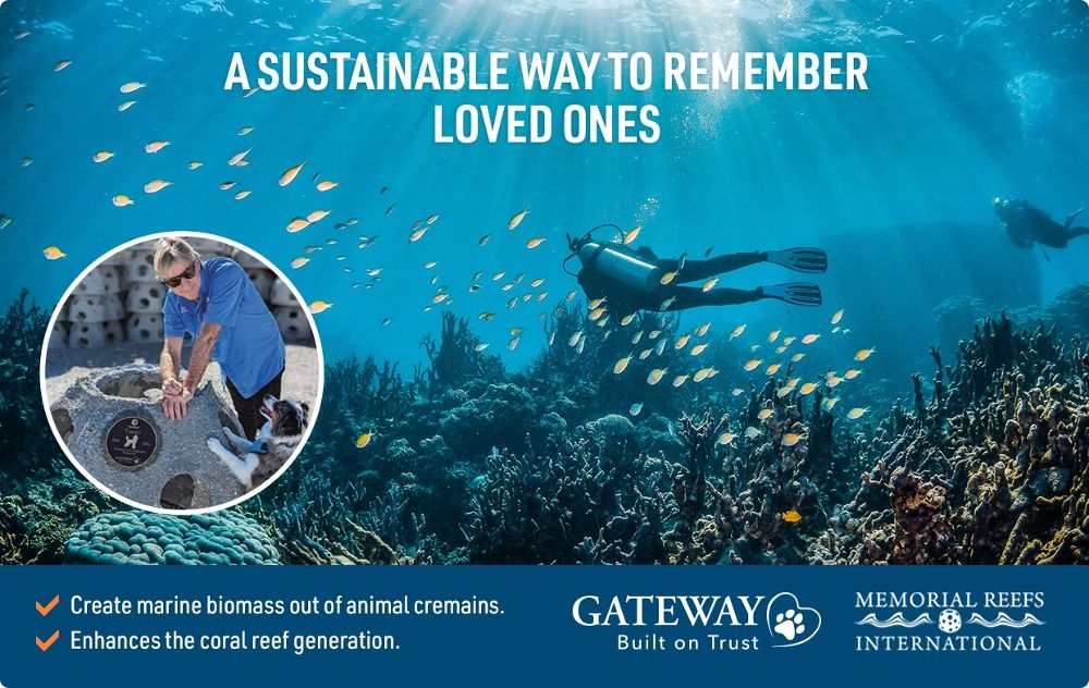 Gateway Services Inc. Mission, Benefits, and Work Culture | Indeed.com