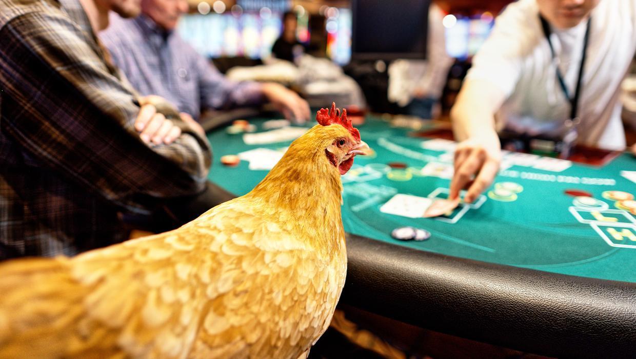 Chicken Ranch Casino Mission, Benefits, and Work Culture | Indeed.com