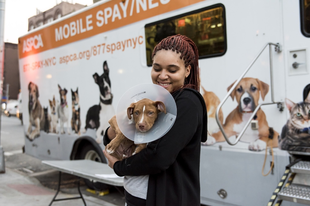 ASPCA Mission, Benefits, and Work Culture | Indeed.com