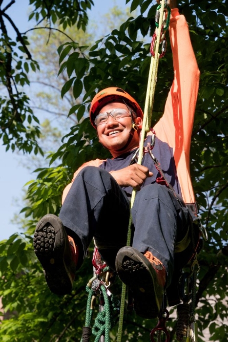 SavATree Mission, Benefits, and Work Culture | Indeed.com