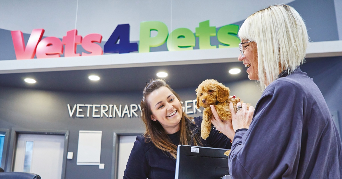 Vets for Pets Mission, Benefits, and Work Culture | Indeed.com