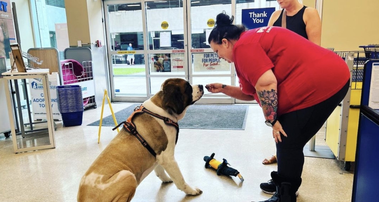 PetSmart Mission, Benefits, and Work Culture | Indeed.com