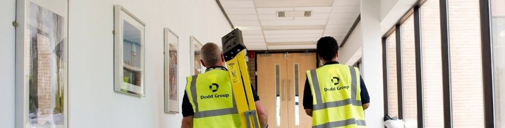 Dodd Group Mission, Benefits, and Work Culture | Indeed.com