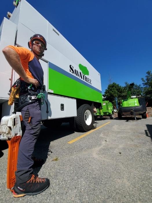 SavATree Mission, Benefits, and Work Culture | Indeed.com