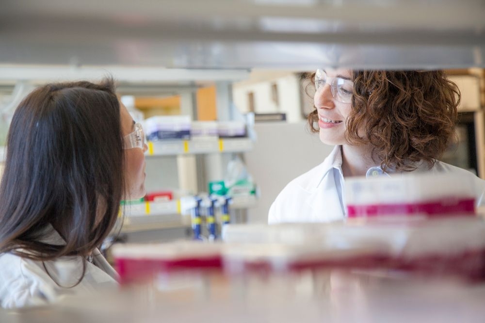 Novartis Mission, Benefits, and Work Culture | Indeed.com