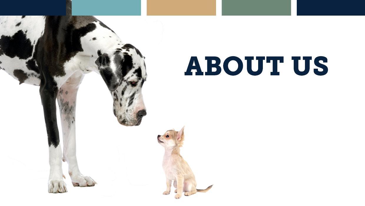 Ultimate Staffing Services Mission, Benefits, and Work Culture | Indeed.com