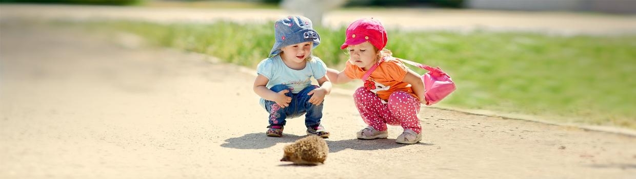 tmc Mission, Benefits, and Work Culture | Indeed.com