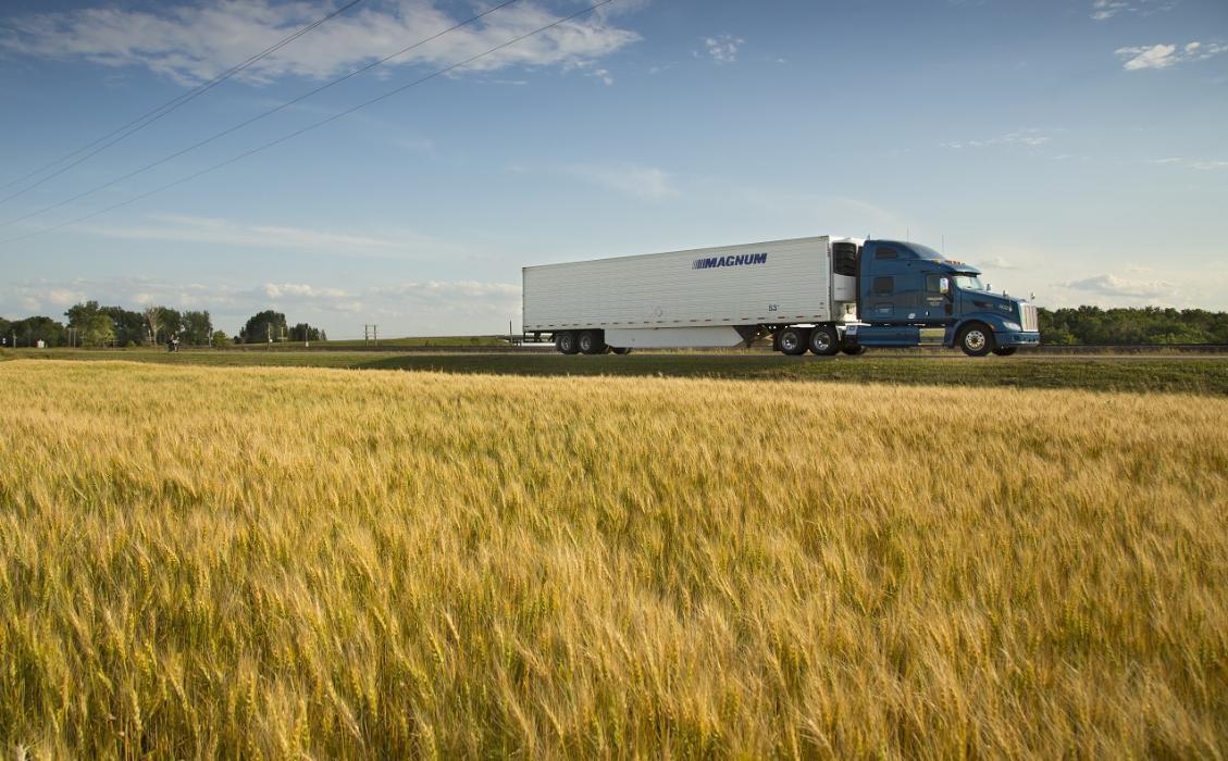 Magnum Companies Mission, Benefits, and Work Culture | Indeed.com