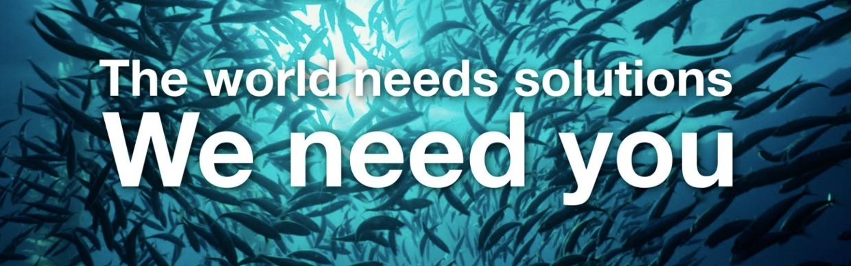 BASF Mission, Benefits, and Work Culture | Indeed.com