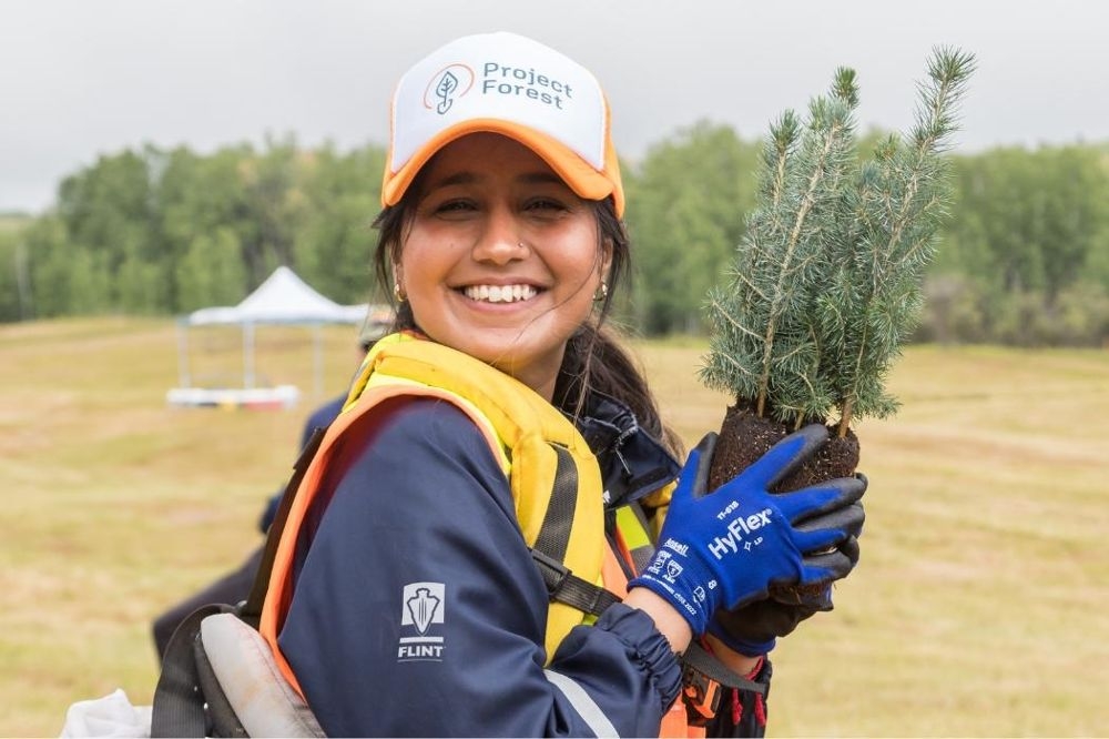 FLINT Corp. Mission, Benefits, and Work Culture | Indeed.com