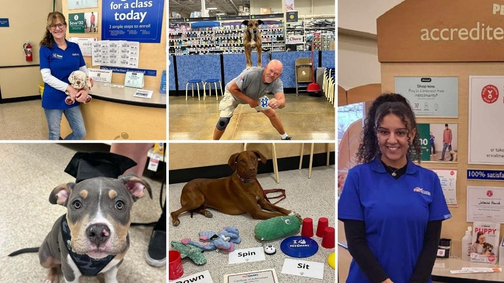 PetSmart Mission, Benefits, and Work Culture | Indeed.com