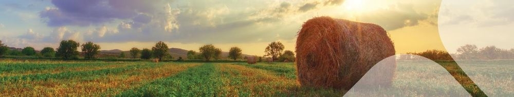 AgFirst Farm Credit Bank Mission, Benefits, and Work Culture | Indeed.com