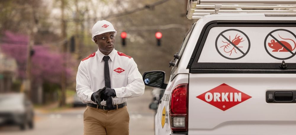Orkin Mission, Benefits, and Work Culture | Indeed.com