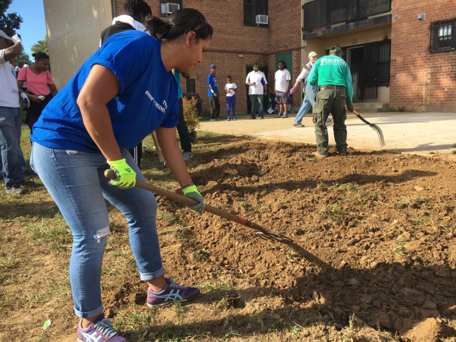 James G. Davis Construction Mission, Benefits, and Work Culture ...