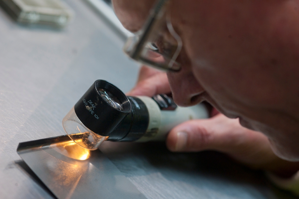 Precoat Metals Mission, Benefits, and Work Culture | Indeed.com