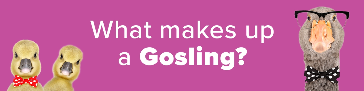 Bill Gosling Outsourcing Mission, Benefits, and Work Culture | Indeed.com