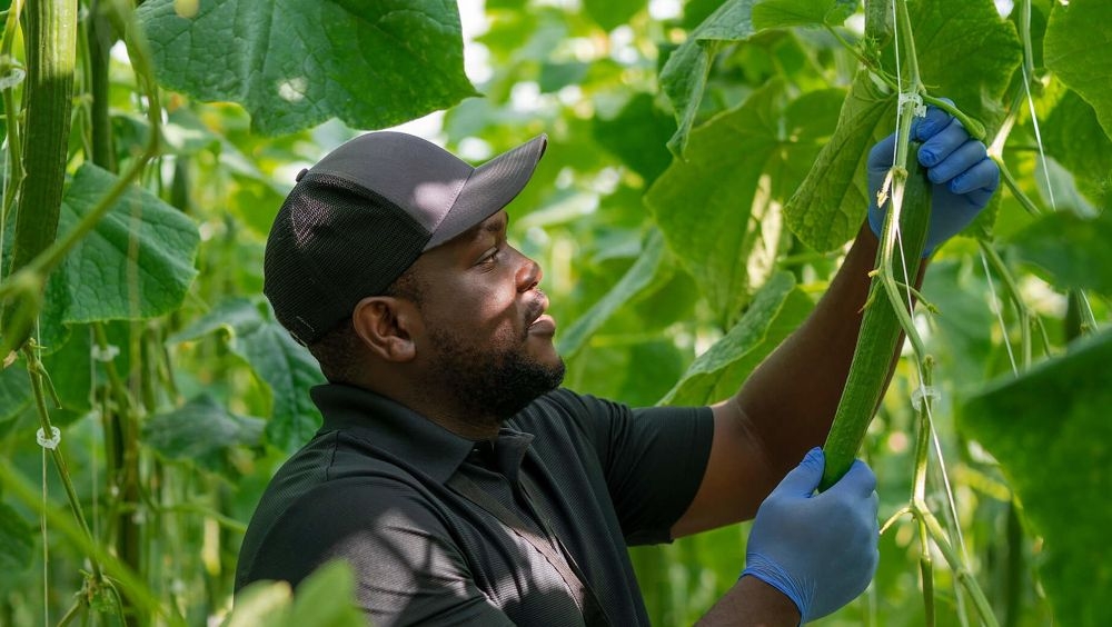 Nature Fresh Farms Inc. Mission, Benefits, and Work Culture | Indeed.com
