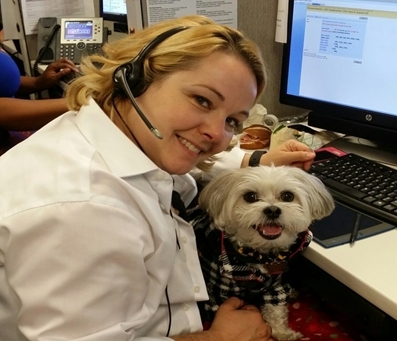 PetSmart Mission, Benefits, and Work Culture | Indeed.com