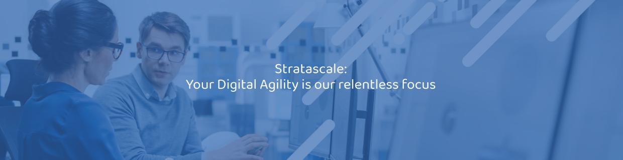 Stratascale Mission, Benefits, and Work Culture | Indeed.com