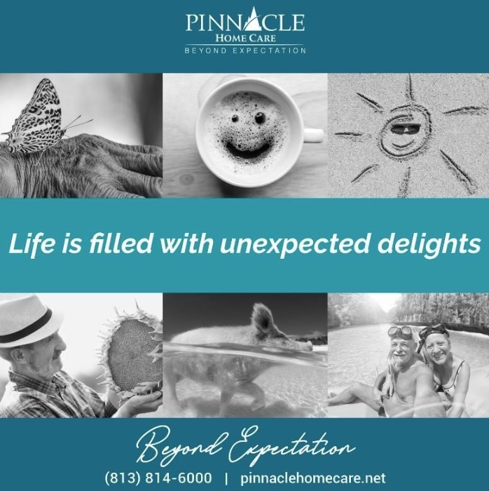Pinnacle Home Care Mission, Benefits, and Work Culture | Indeed.com