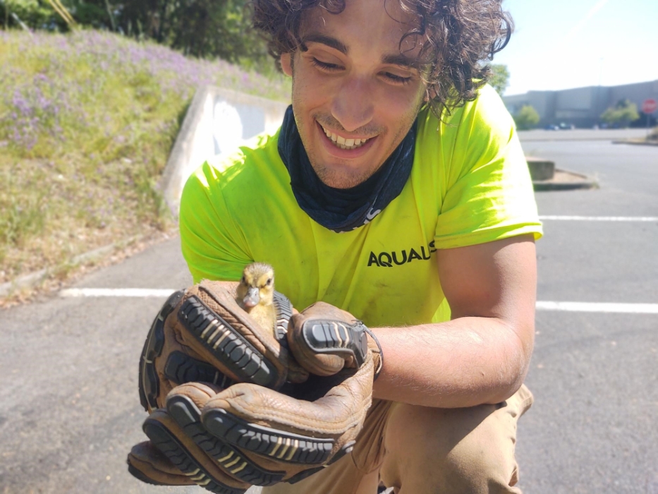 AQUALIS Mission, Benefits, and Work Culture | Indeed.com