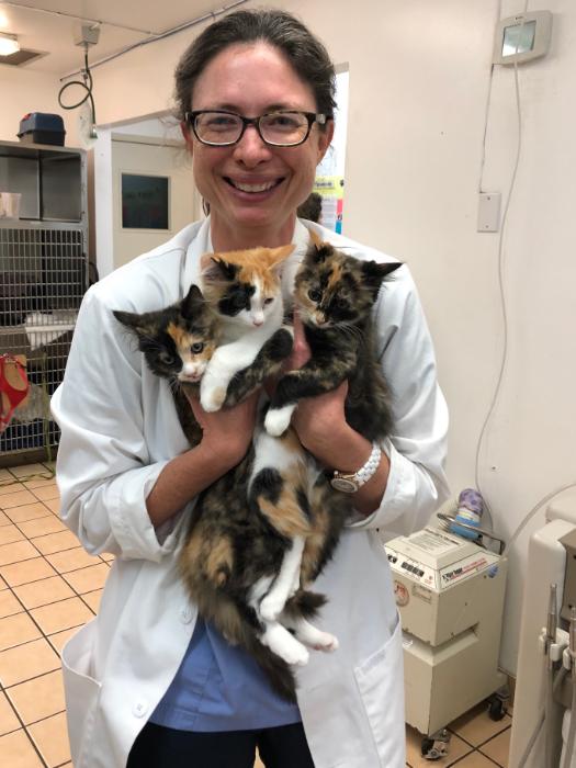 Vetncare Mission, Benefits, and Work Culture | Indeed.com